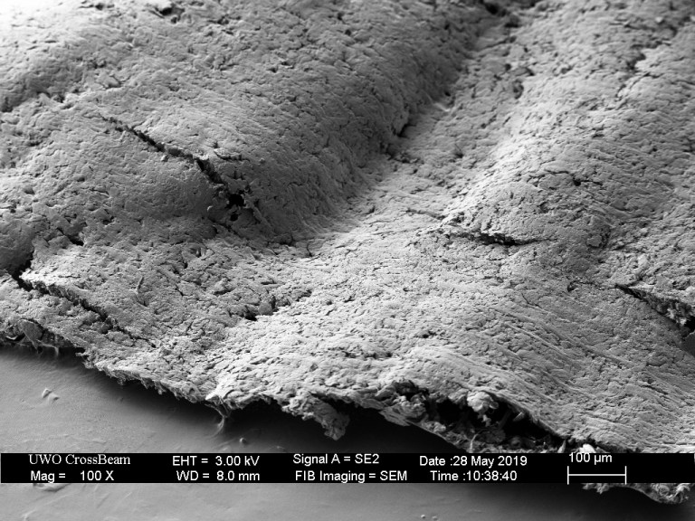 What Does Steeling Do? Part 2 : The Card Scraper – scienceofsharp