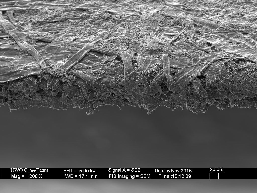 The Slice Cut – scienceofsharp