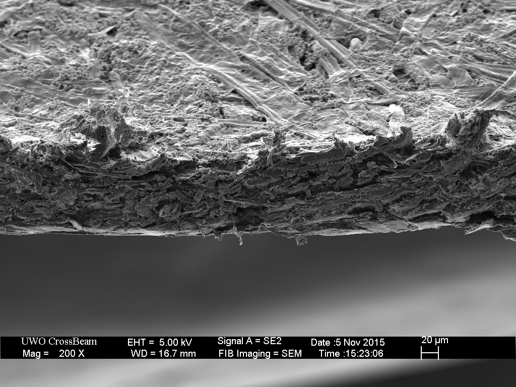 The Slice Cut – scienceofsharp