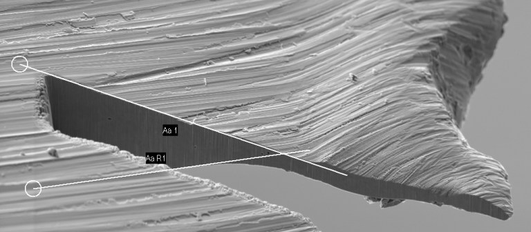 Seven Misconceptions About Knife Burrs – scienceofsharp