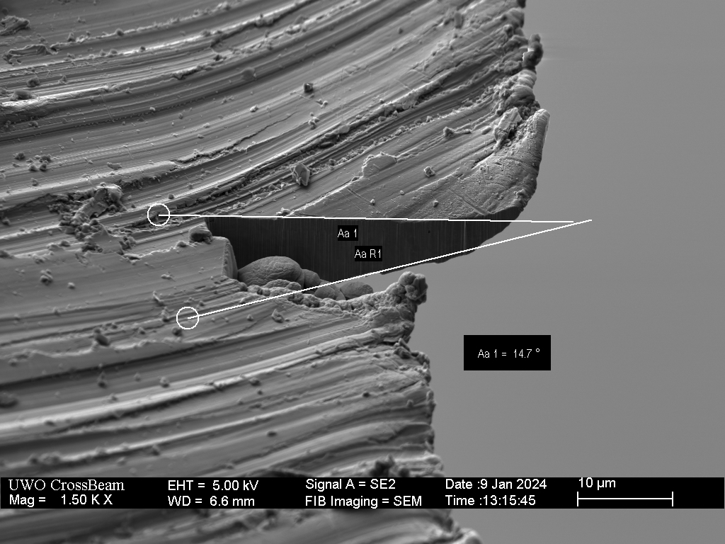 Seven Misconceptions About Knife Burrs – scienceofsharp