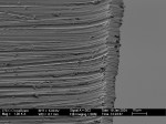 Seven Misconceptions About Knife Burrs – scienceofsharp