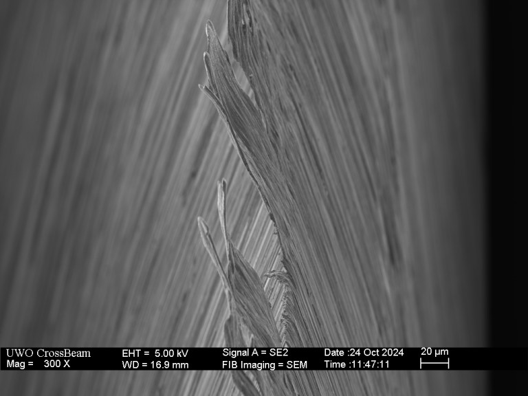 What is a burr? – part 3 – scienceofsharp